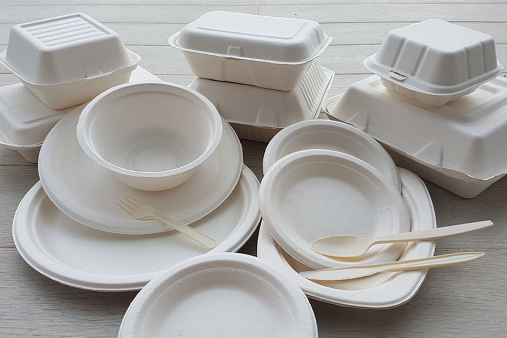 S E A Global Pte Ltd Bagasse Food Box S E A Global Pte Ltd Bagasse Food Box